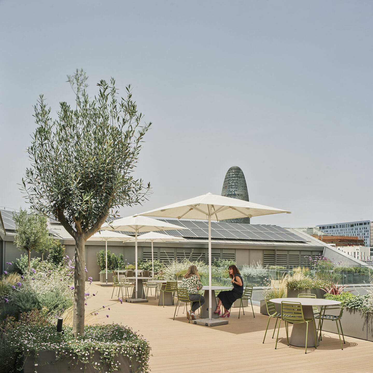 Gallery of SWITCH – New Simon Headquarters | b720 Fermín Vázquez ...