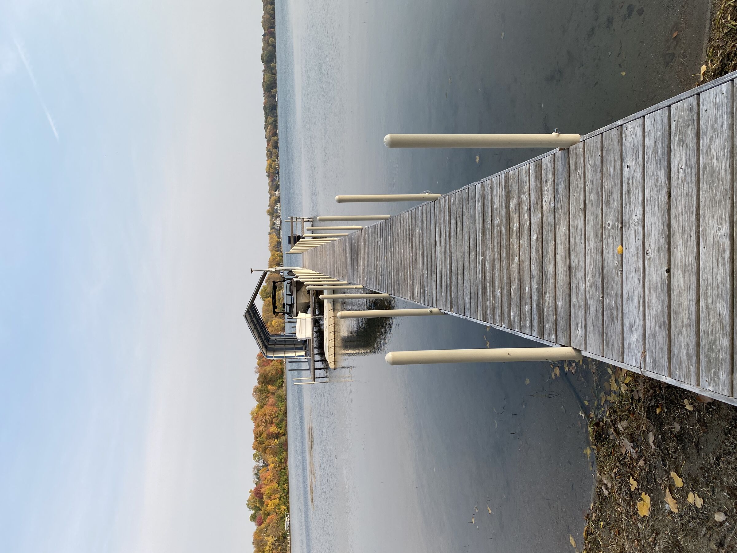 Gallery of Lake Cottage | JMAD | Media - 4