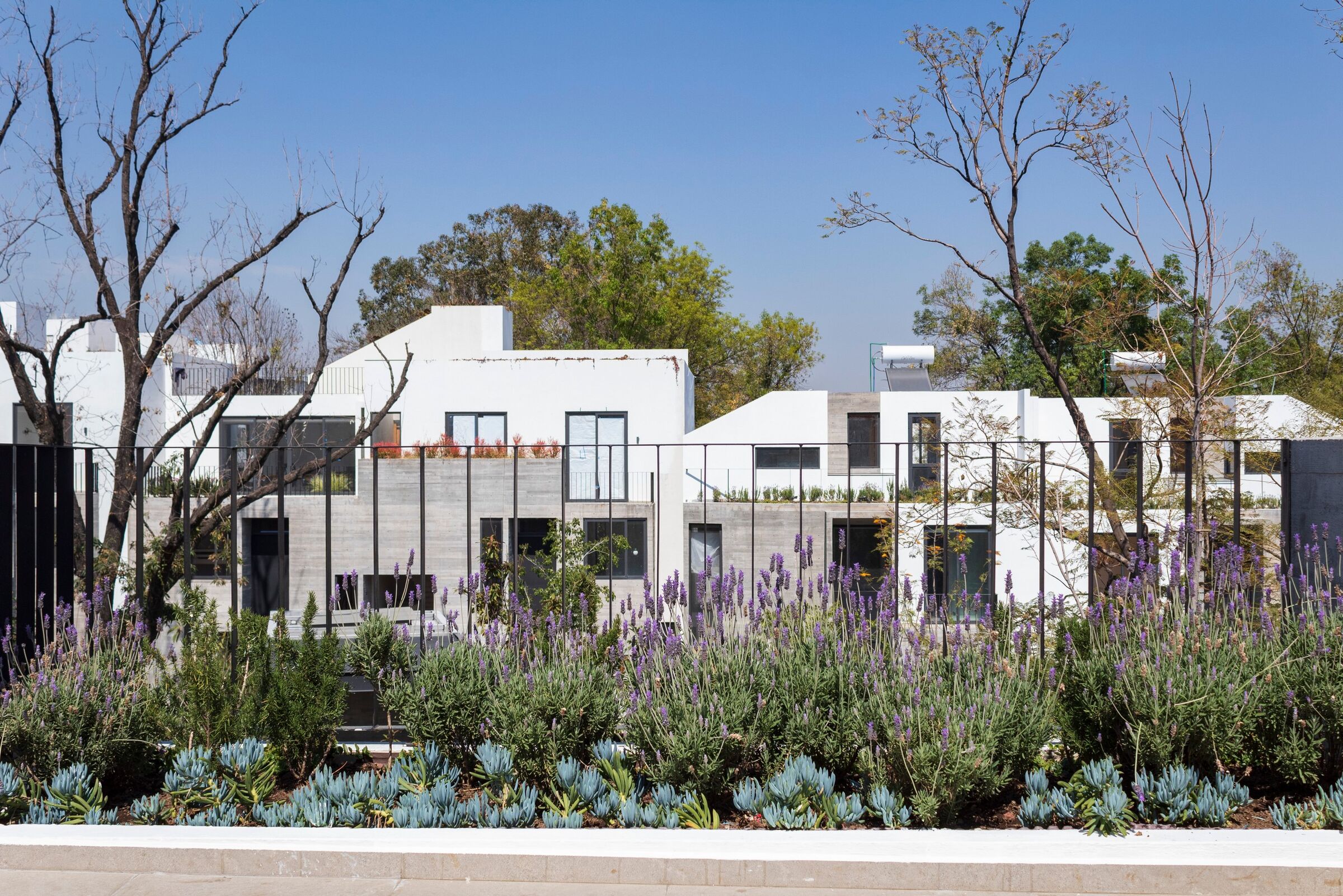 Agara | Devas Paisaje | Archello