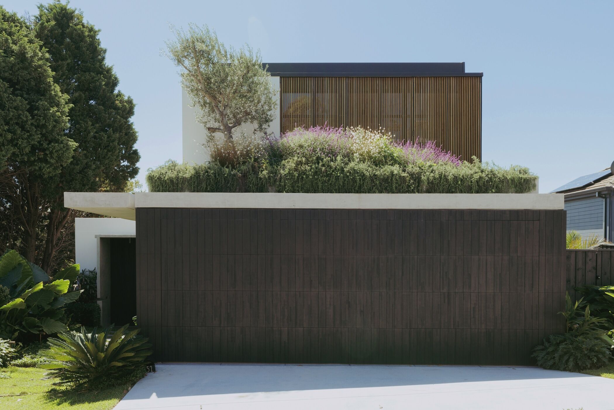 Little Birch | buck&simple | Archello