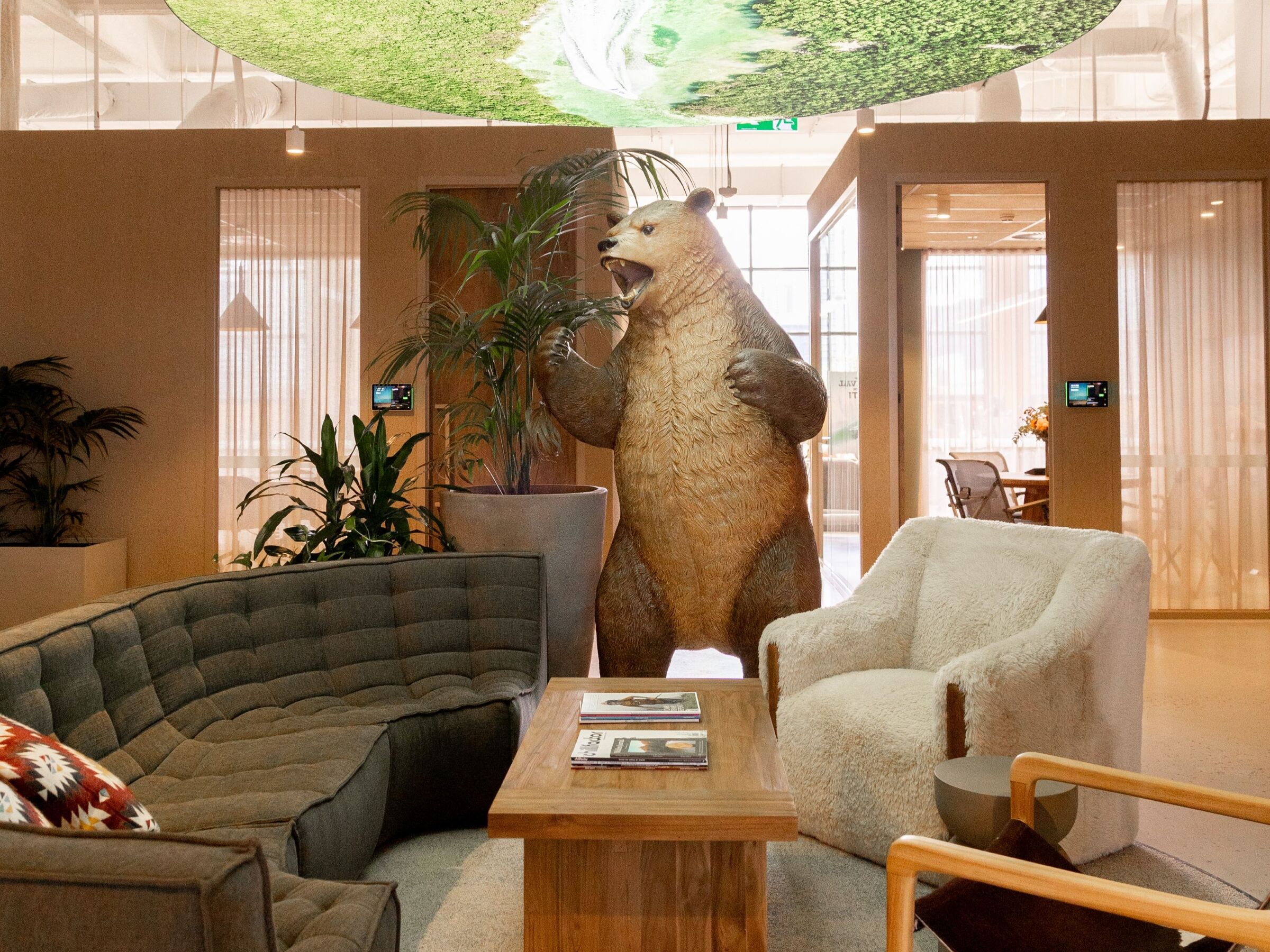 Yeti | Amicus | Archello