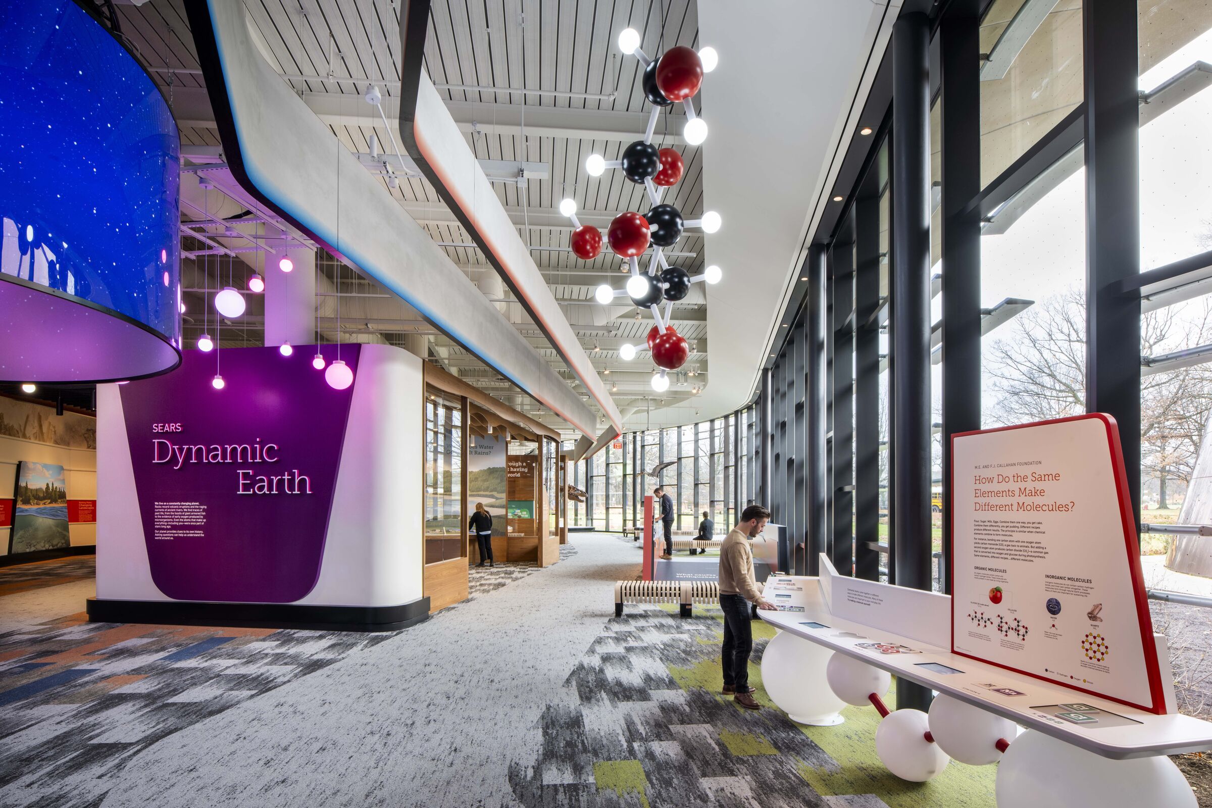 Gallery of Cleveland Museum of Natural History | DLR Group | Media - 17