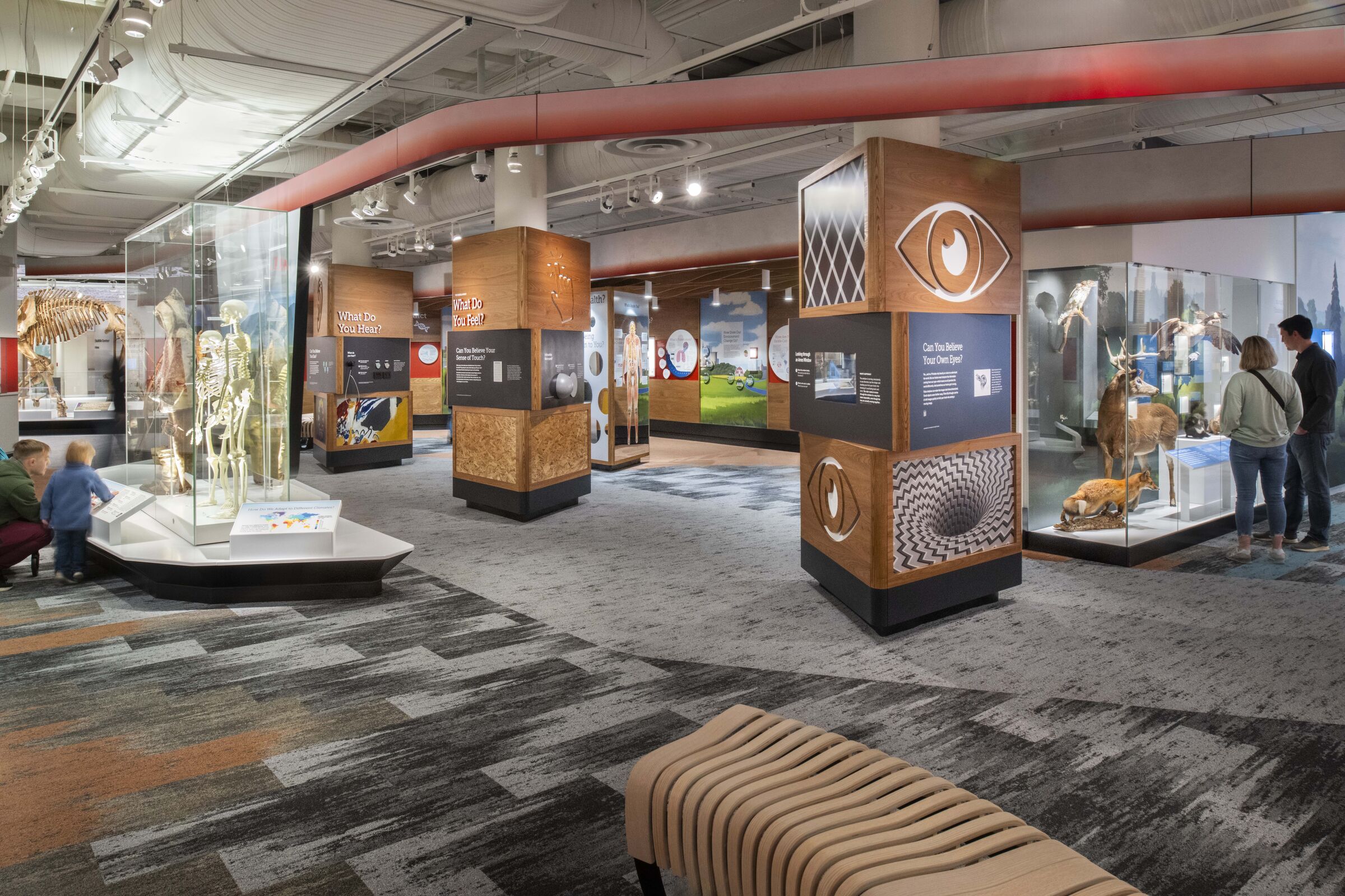 Gallery of Cleveland Museum of Natural History | DLR Group | Media - 18